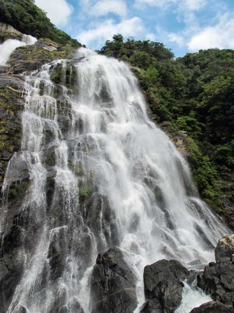 Yaku-shima, Nansei-shoto (SW Islands): Yaku-shima, Japan I Best world ...